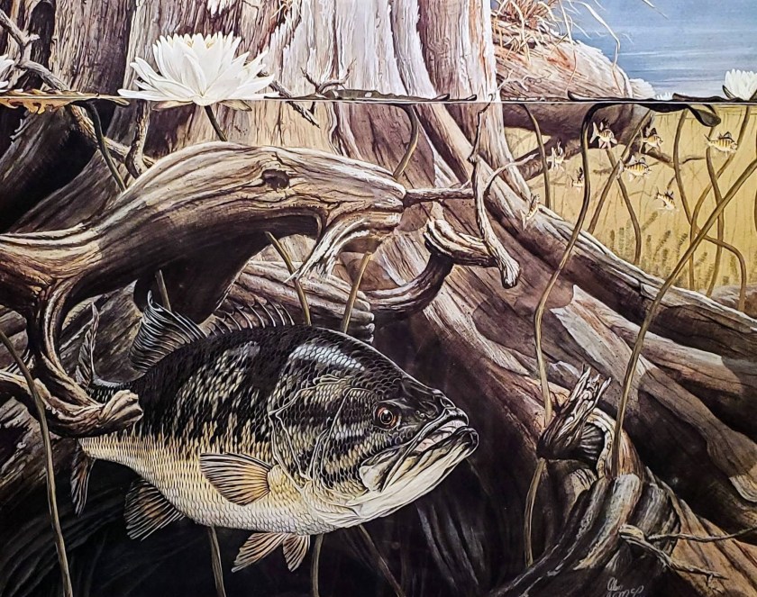 Trophy Bassmasters – Independent Bass Fishing Club (Non-profit ...